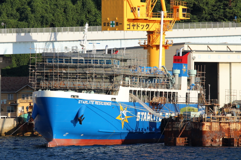 STARLITE RESILIENCE - Ferry