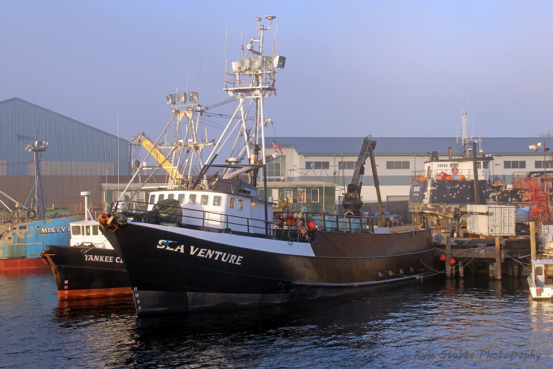 SEA VENTURE - Fishing