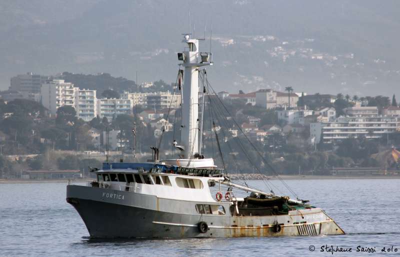 FORTICA - Fishing
