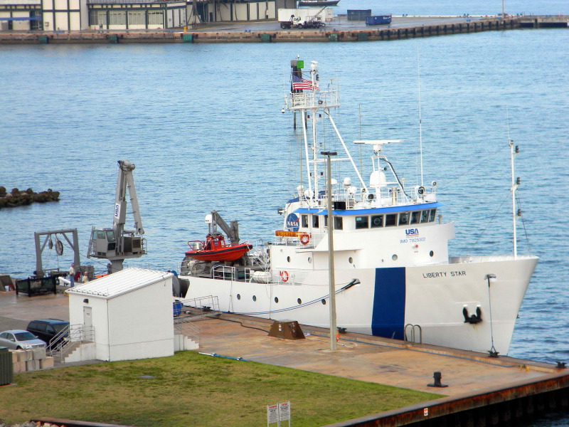 KINGS POINTER - Training