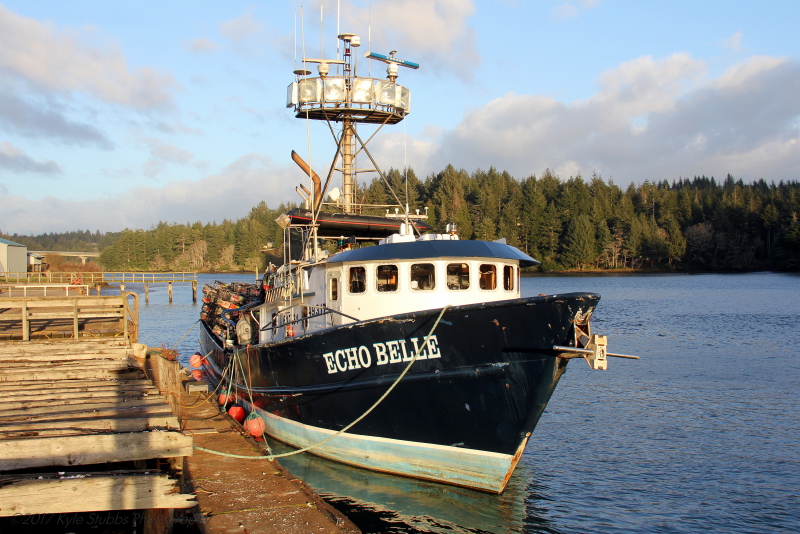 ECHO BELLE - Fishing