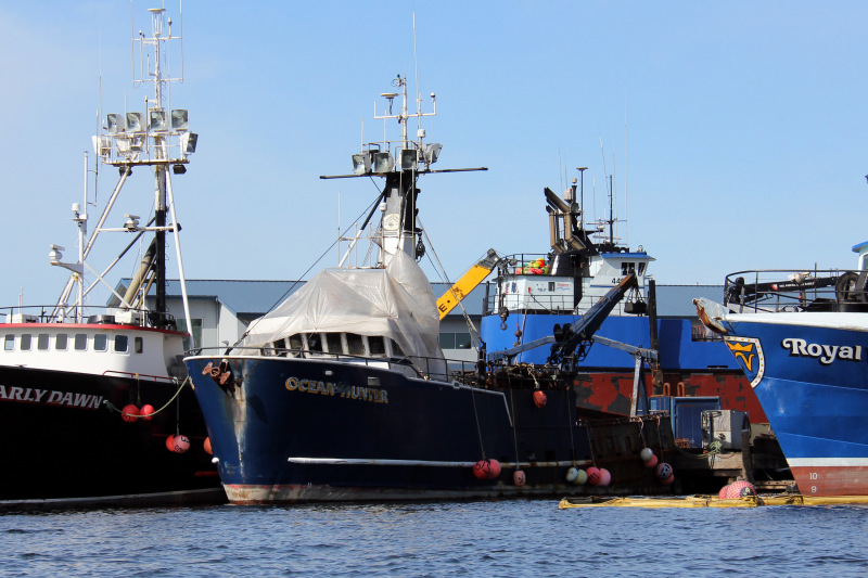 OCEAN HUNTER - Fishing