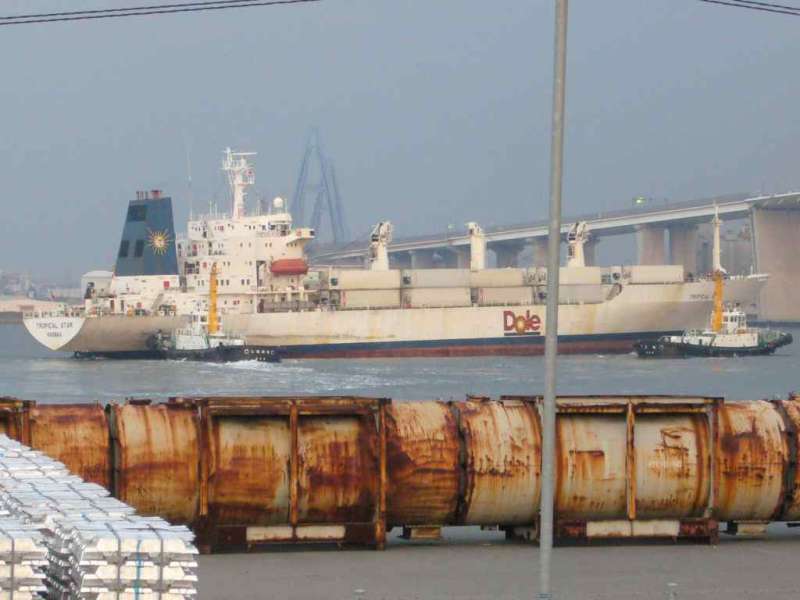 MV TROPICAL STAR - Reefer