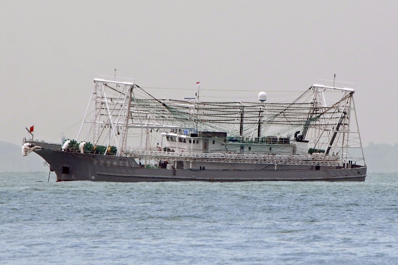 HANYI717 - Fishing