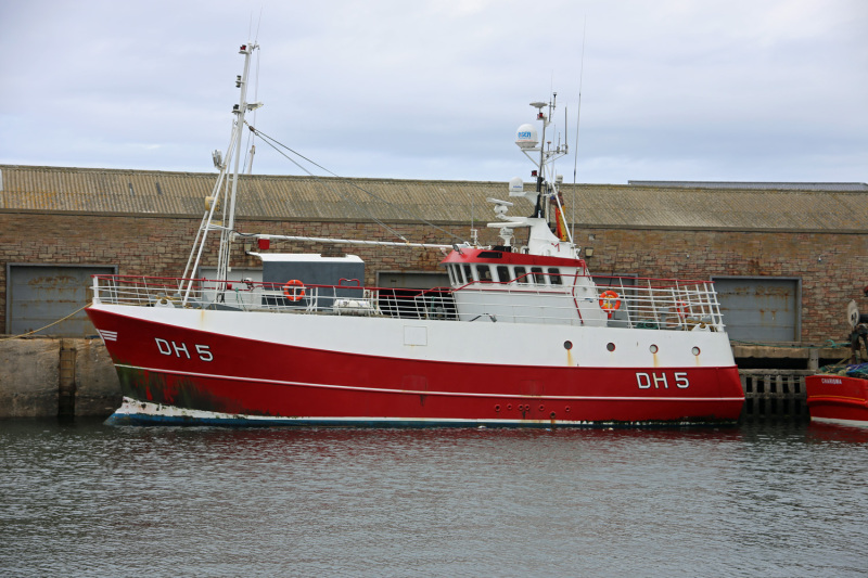 WILLIAM HENRY II DH5 - Fishing
