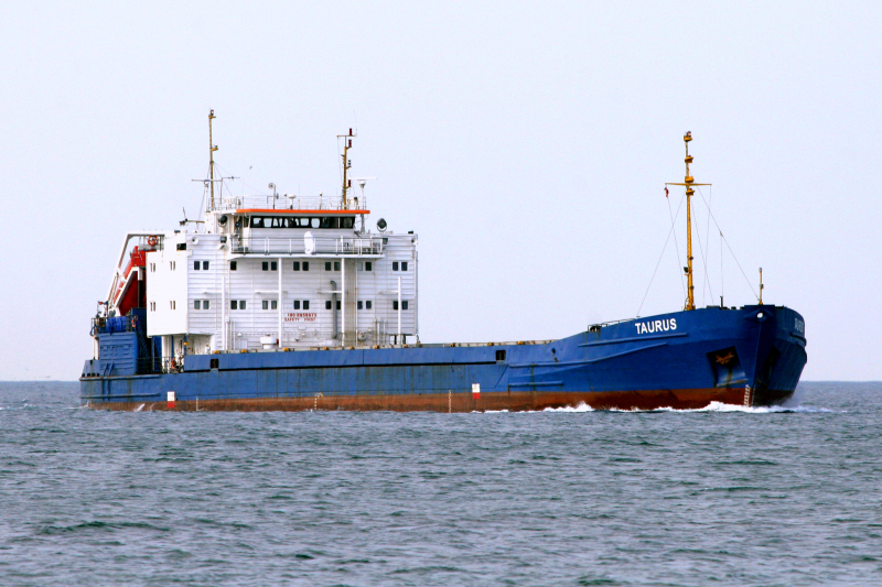 ARIYA - Dry bulk / Mini bulkers 1 / General cargo