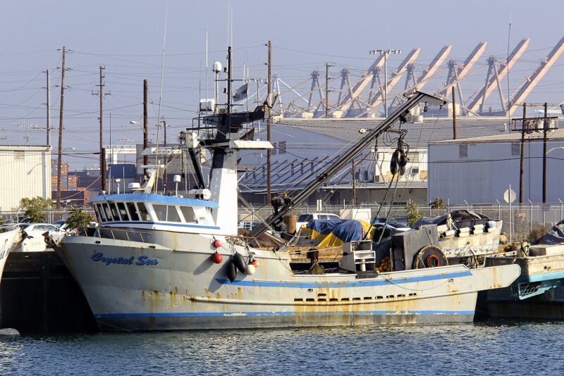 CRYSTAL SEA - Fishing