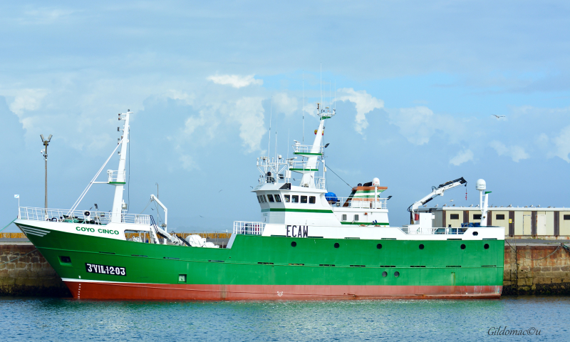 COYO CINCO - Fishing