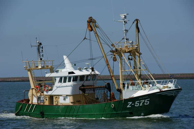 Z57 HEIN SENIOR - Fishing