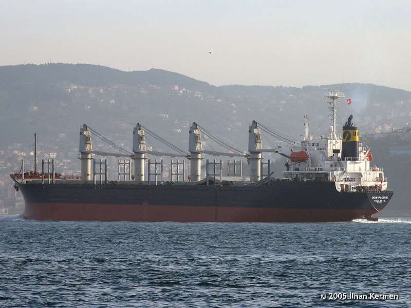 MAN SHENG - Dry bulk / Handysize