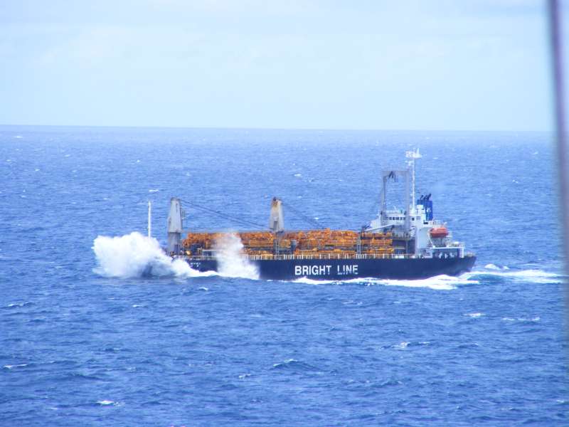 NEPTUNE STARLIGHT - Dry bulk / Mini bulkers 2 / General cargo