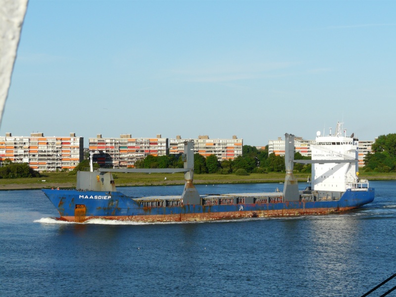 MERATUS DILI - Dry bulk / Mini bulkers 2 / General cargo