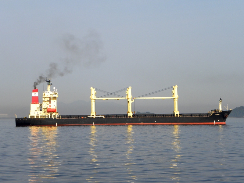 ADAM LEGACY - Dry bulk / Handysize / General cargo