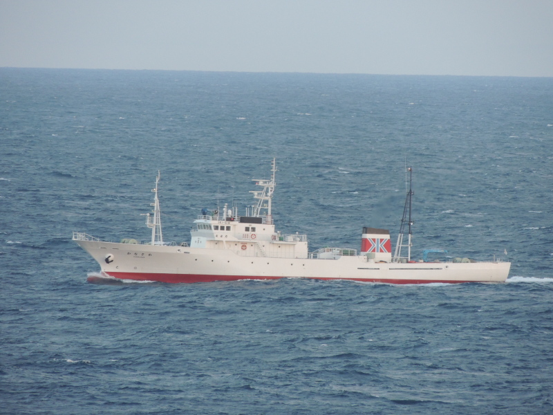 AZUMI - Fishing