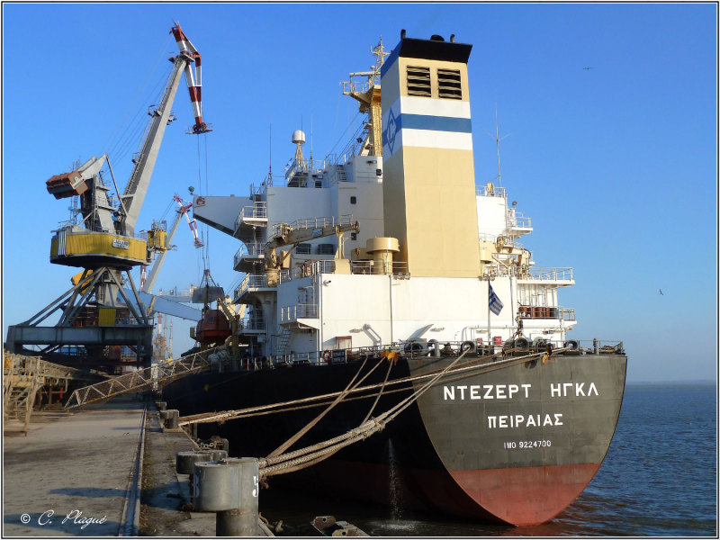 RAIZE - Dry bulk / Panamax