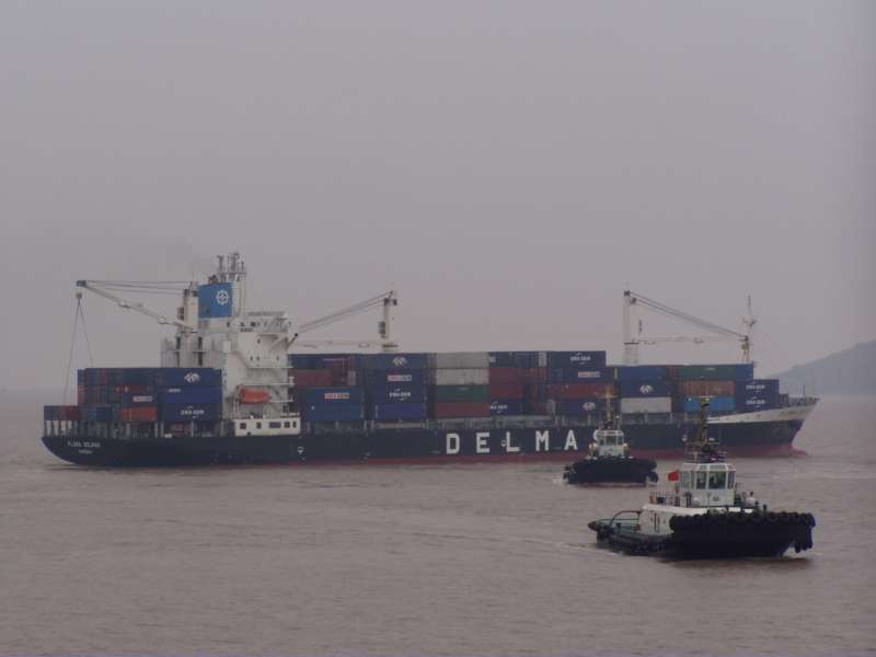 FLORA DELMAS - Container / Feeder 2