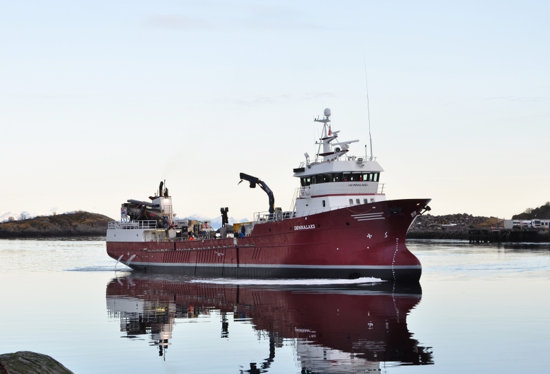 INTER AUSTRAL - Well boat