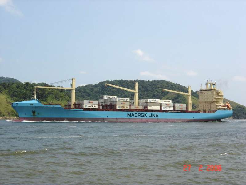 TIGER - Container / Feeder 3