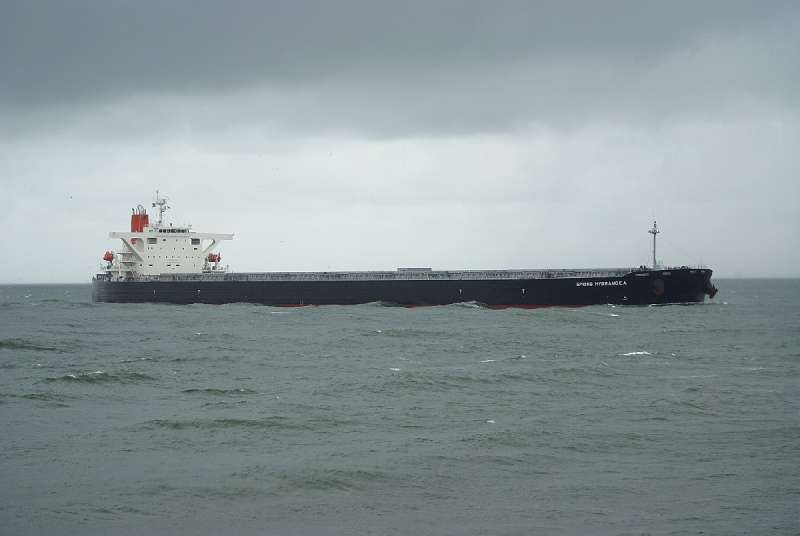 XH MARINER - Dry bulk / Cape