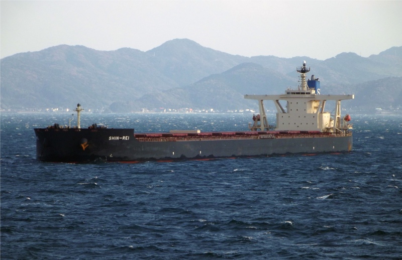 SUNNY RIVER - Dry bulk / Newcastlemax