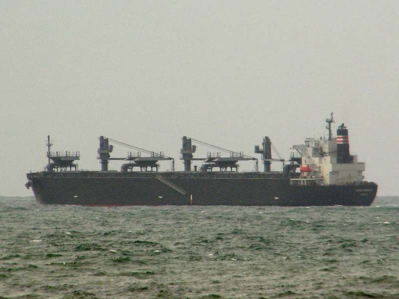 REGNO MARINUS - Dry bulk / Supramax / Wood chip carrier