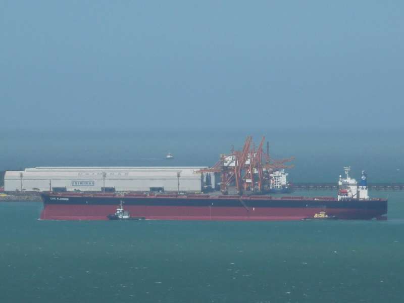 CAPE ZHONGTUO - Dry bulk / Cape