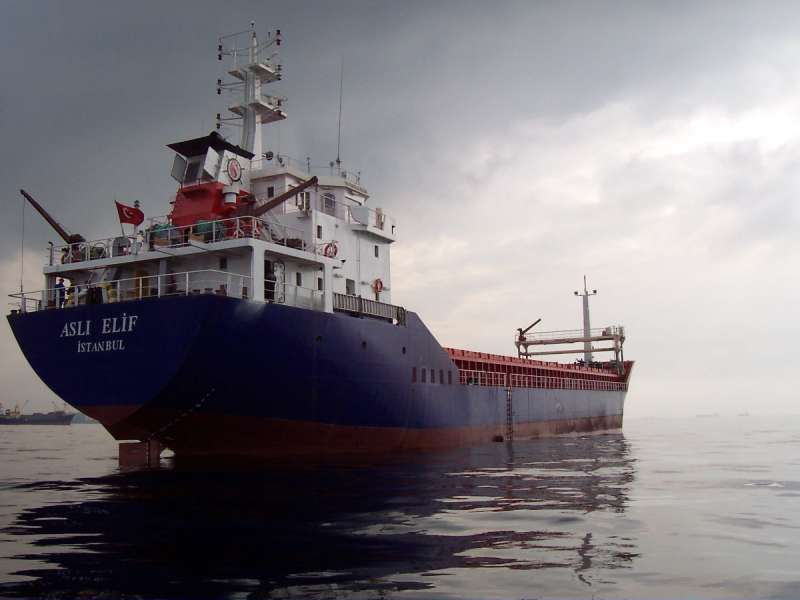 ASLI ELIF - Dry bulk / Mini bulkers 1 / General cargo