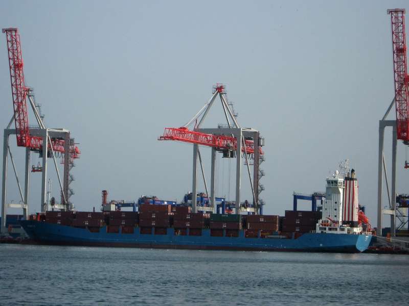 EGY SKY Container Feeder 2