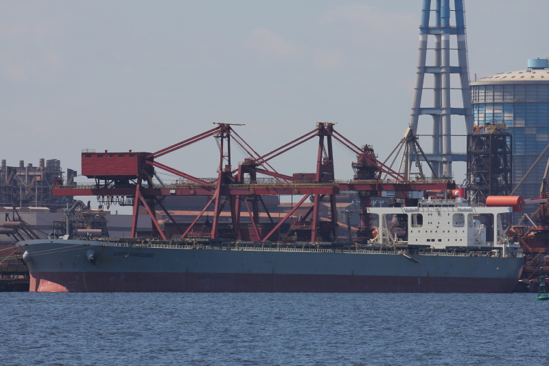 SAMC MG - Dry bulk / Newcastlemax