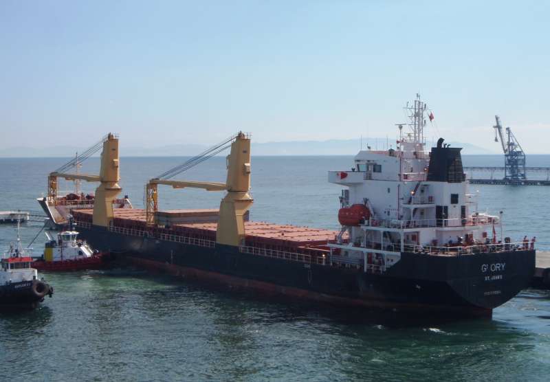 JOY EXPRESS - Dry bulk / Mini bulkers 2 / General cargo