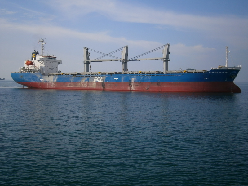 BMC ENDORA - Dry bulk / Handysize