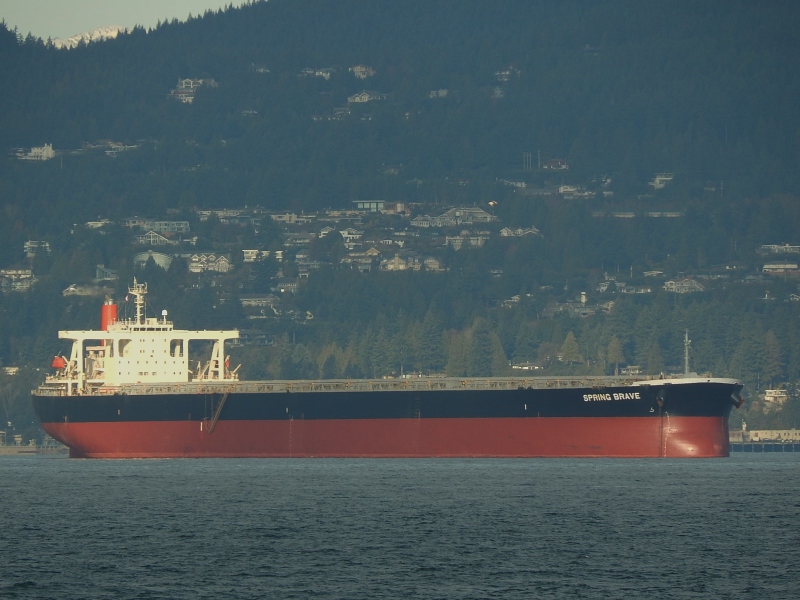 WINNING ANGEL - Dry bulk / Newcastlemax