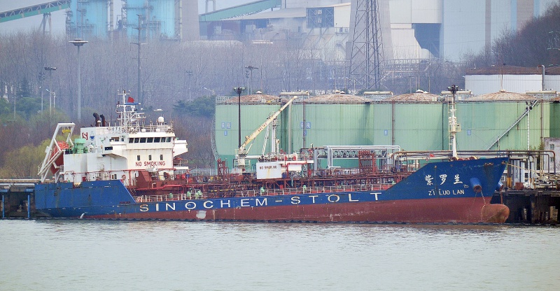 ZI LUO LAN - Chemical / Small 1