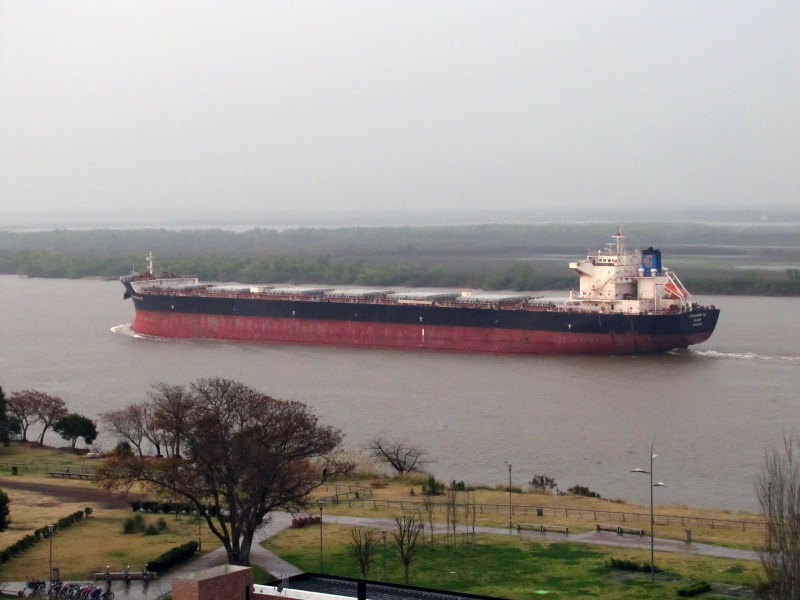 NEW FORTUNE - Dry bulk / Post Panamax