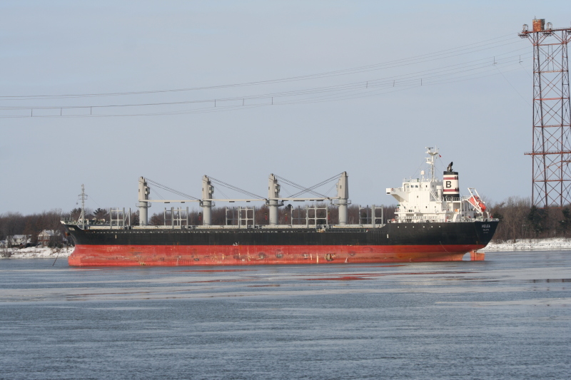 HELGA - Dry bulk / Handysize