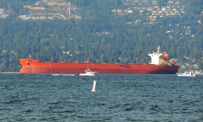 PAN HOPE - Dry bulk / Cape