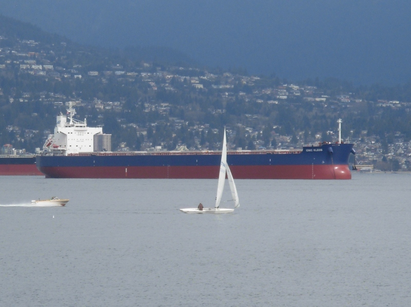 IONIC KLEOS - Dry bulk / Kamsarmax