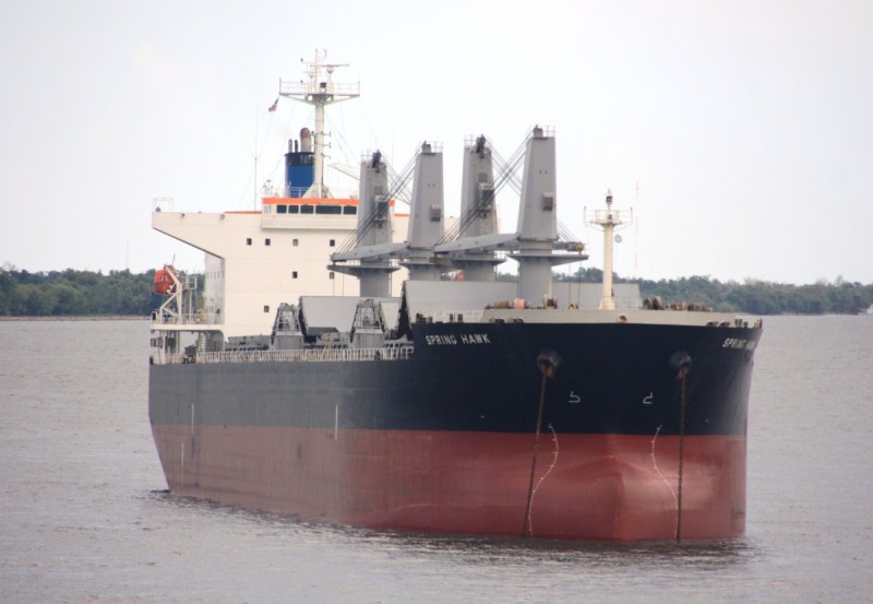 GRAMPUS BRAVE - Dry bulk / Supramax