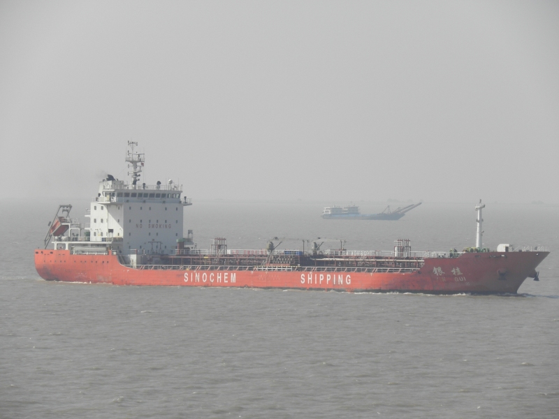 YIN GUI - Tanker / Small / Epoxy