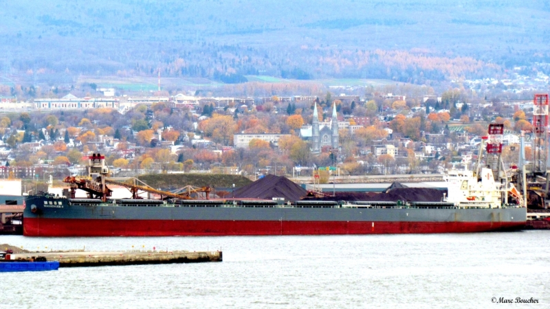 MAGSENGER 8 - Dry bulk / Baby Cape