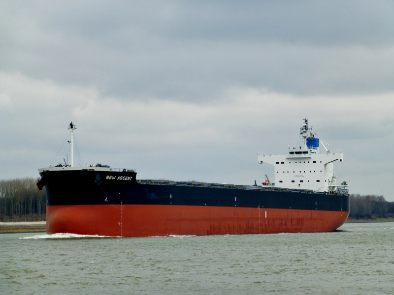 NEW ASCENT - Dry bulk / Kamsarmax