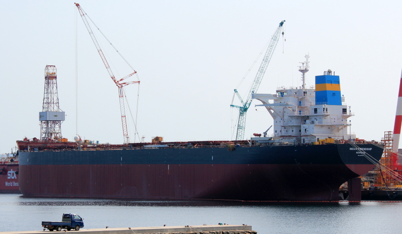 INDIAN FRIENDSHIP - Dry bulk / Cape
