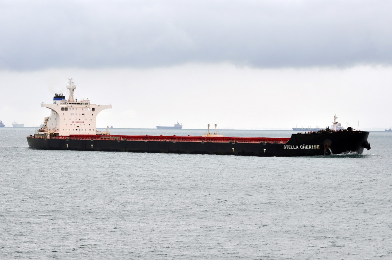 FALCON COURAGE - Dry bulk / Cape