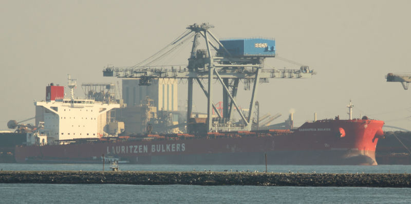 ALPHA BRAVERY - Dry bulk / Cape