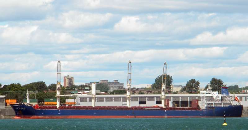 HL AMBITION - Dry bulk / Handysize / General cargo