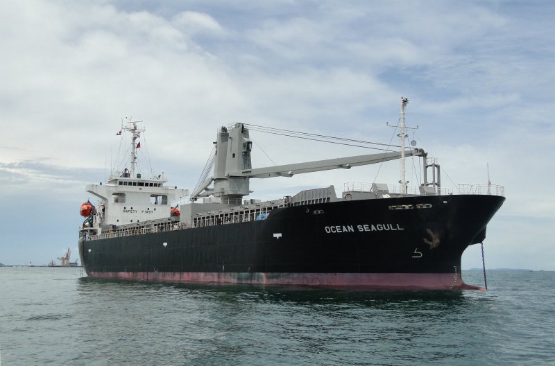 OCEAN SEAGULL - Dry bulk / Mini bulkers 3 / General cargo