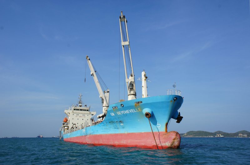 VIETSUN HARMONY - Dry bulk / Mini bulkers 2 / General cargo
