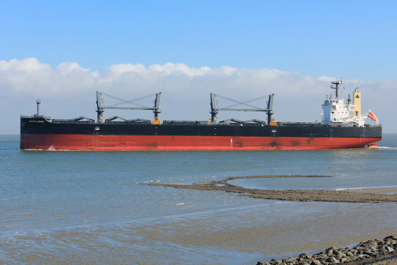 JC NEW RUBY - Dry bulk / Supramax