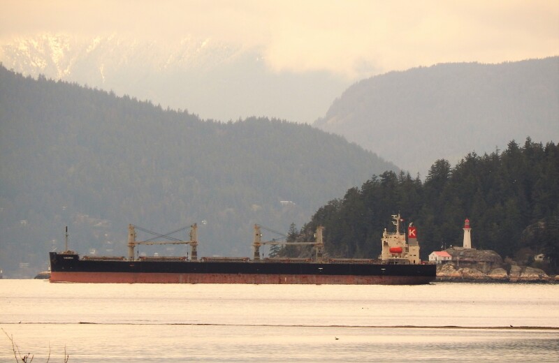 SIMURGH - Dry bulk / Supramax / Open hatch