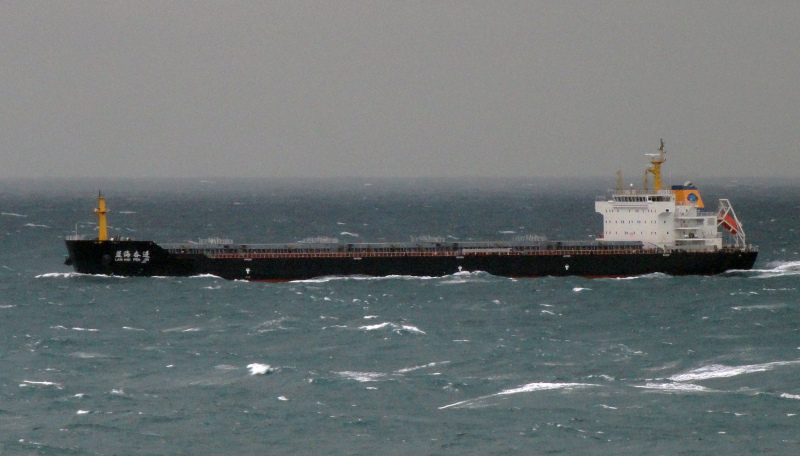 XING LUO 88 - Dry bulk / Supramax